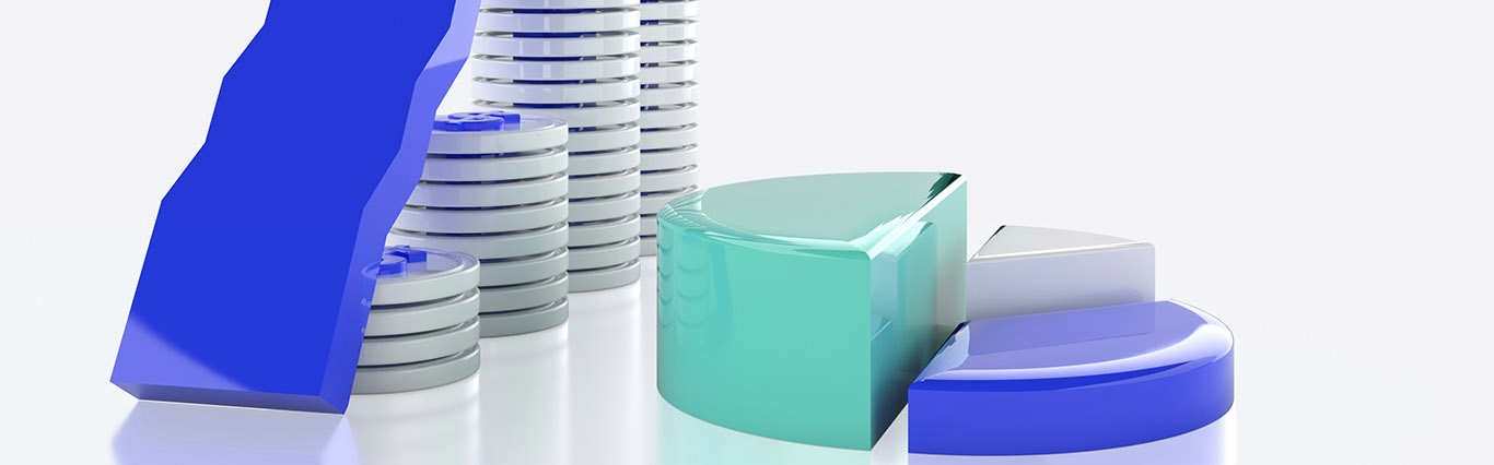 Capital Increase Through Capital Subscription | Erdem&Erdem