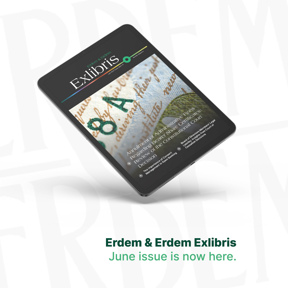 Erdem & Erdem - Law Firm - International Legal Services